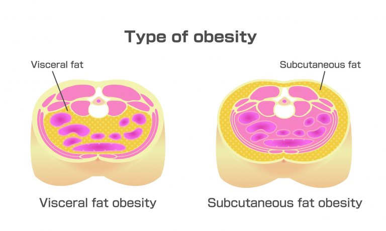 How to Lose Belly Fat - Fat Loss Quest